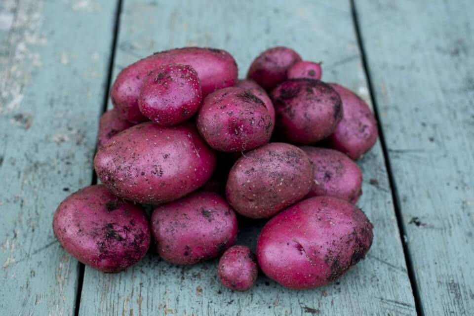 27 Popular Types of Potatoes: The Ultimate Guide With Pictures | Betony