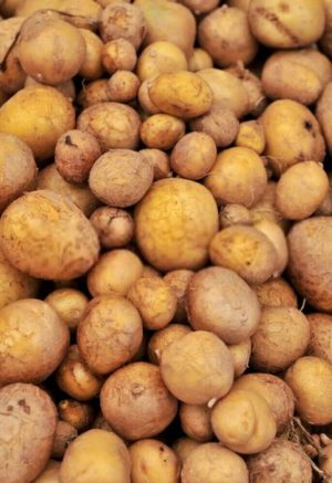 27 Popular Types of Potatoes: The Ultimate Guide With Pictures | Betony
