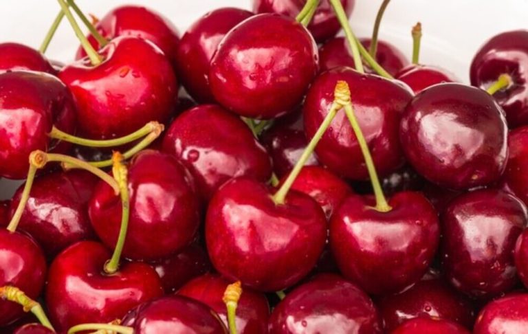 27 Popular Types Of Cherries: Varieties, Uses, Benefits (Photos) | Betony