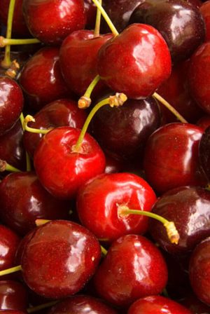 27 Popular Types Of Cherries: Varieties, Uses, Benefits (Photos) | Betony