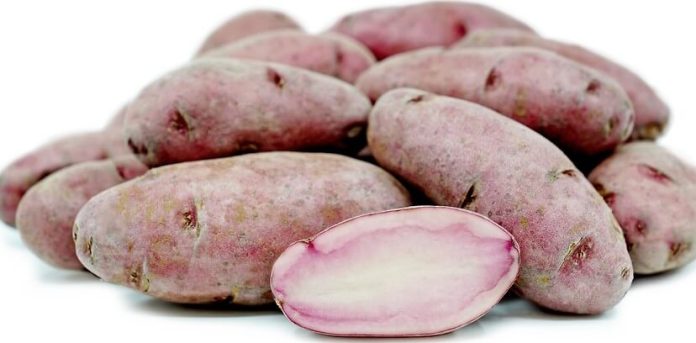 27 Popular Types of Potatoes: The Ultimate Guide With Pictures | Betony