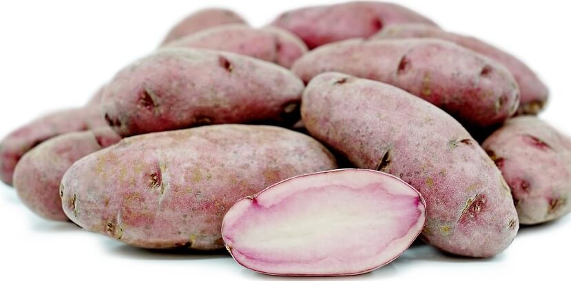 27 Popular Types of Potatoes: The Ultimate Guide With Pictures | Betony