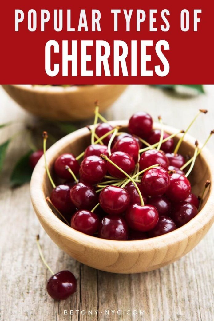 27 Popular Types Of Cherries: Varieties, Uses, Benefits (Photos) | Betony