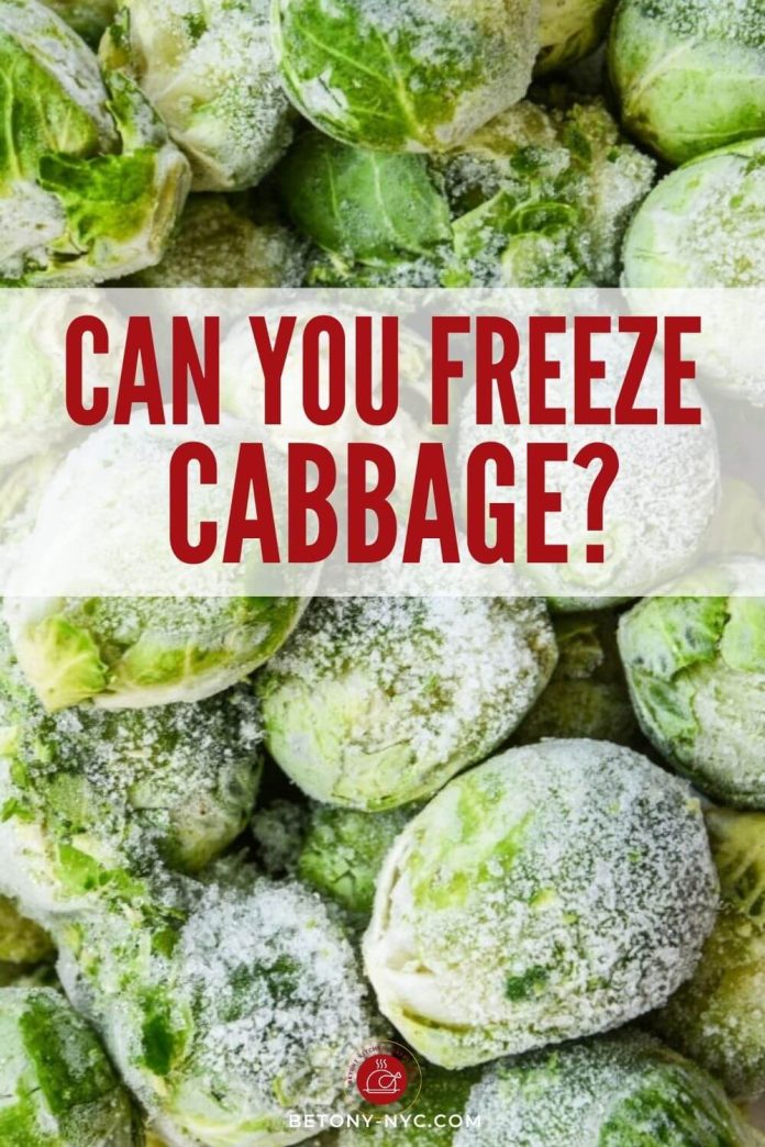 Can You Freeze Cabbage? {Yes! Here's 3 Ways To Freeze It} | Betony