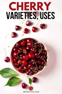 27 Popular Types Of Cherries: Varieties, Uses, Benefits (Photos) | Betony