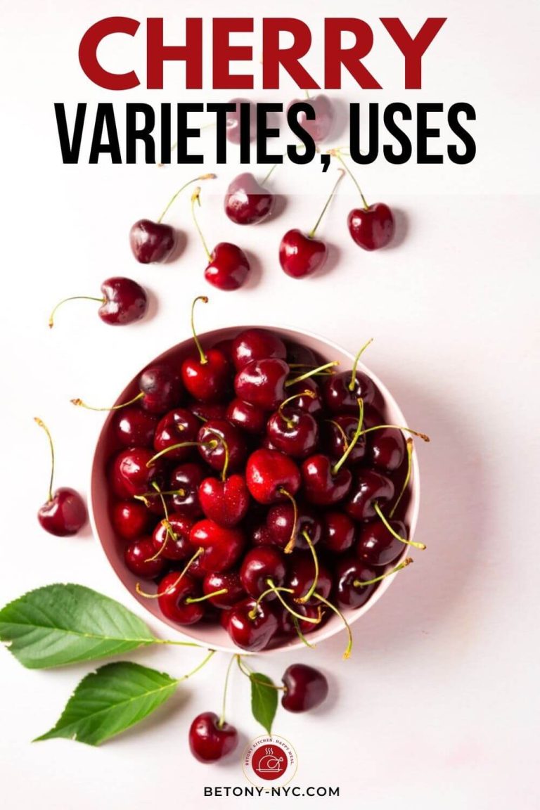 27 Popular Types Of Cherries: Varieties, Uses, Benefits (Photos) | Betony