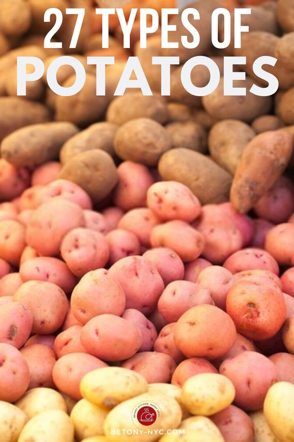 27 Popular Types of Potatoes: The Ultimate Guide With Pictures | Betony