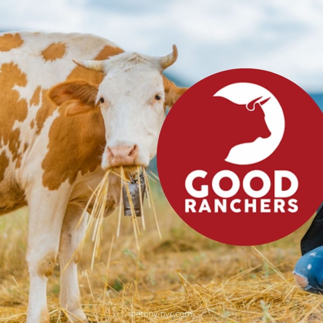 Good Ranchers Review - Is It Worth It? - Betony