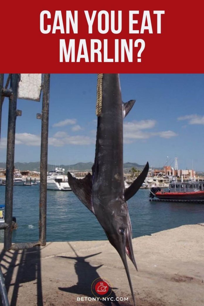 Can You Eat Marlin? The Surprising Truth About This Delicious Fish