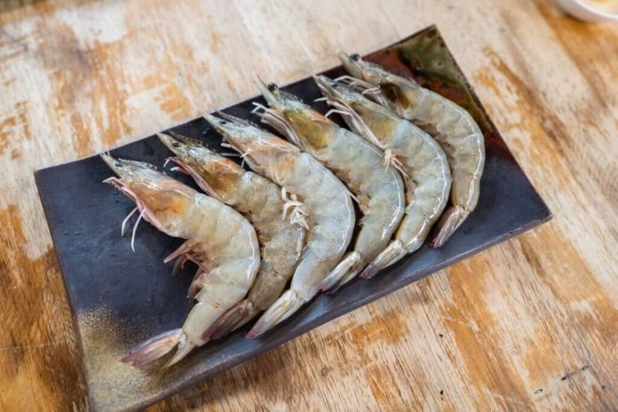 Can You Eat Raw Shrimp? The Surprising Truth About This Seafood