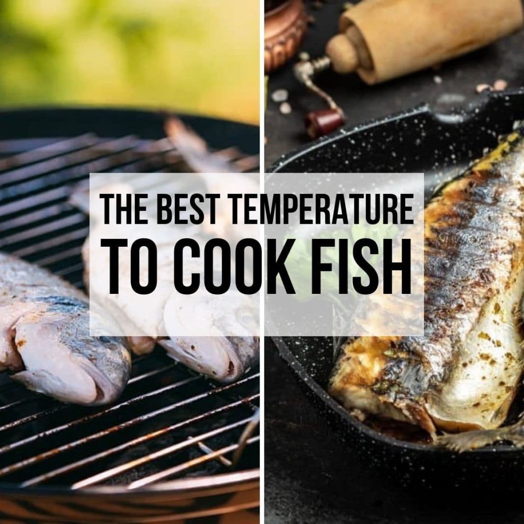 The Best Temperature to Cook Fish: A Comprehensive Guide - Betony