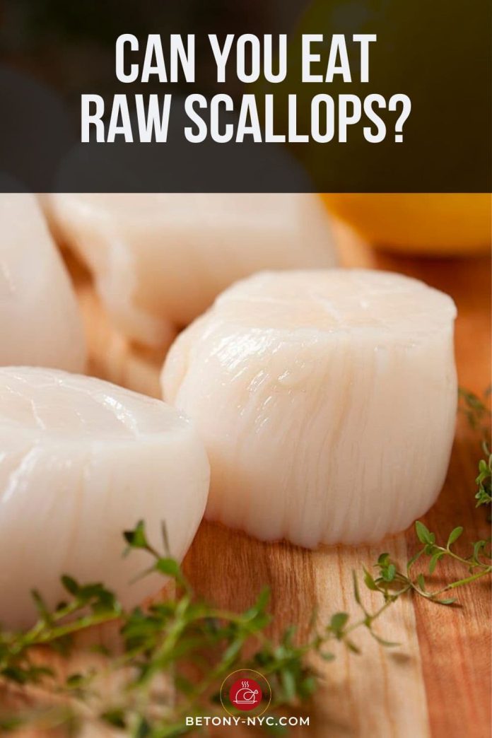 Can You Eat Raw Scallops? The Truth About Raw Seafood