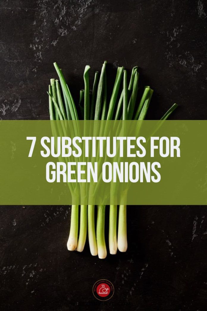17 Best Substitutes for Green Onions - Betony