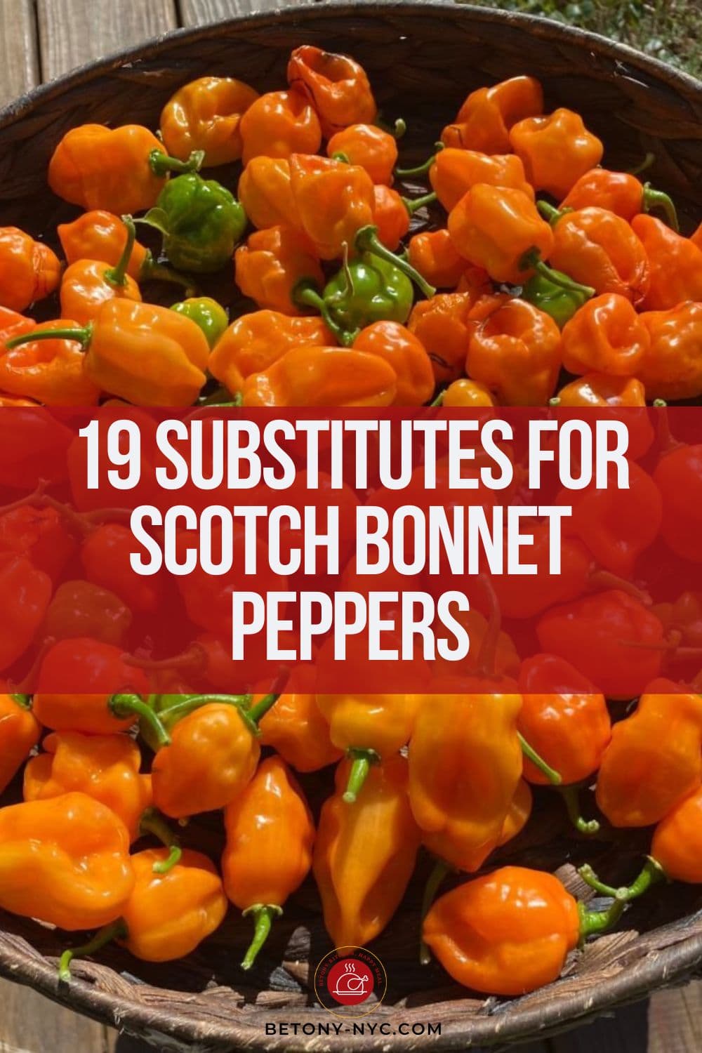 19 Substitutes for Scotch Bonnet Peppers - Betony