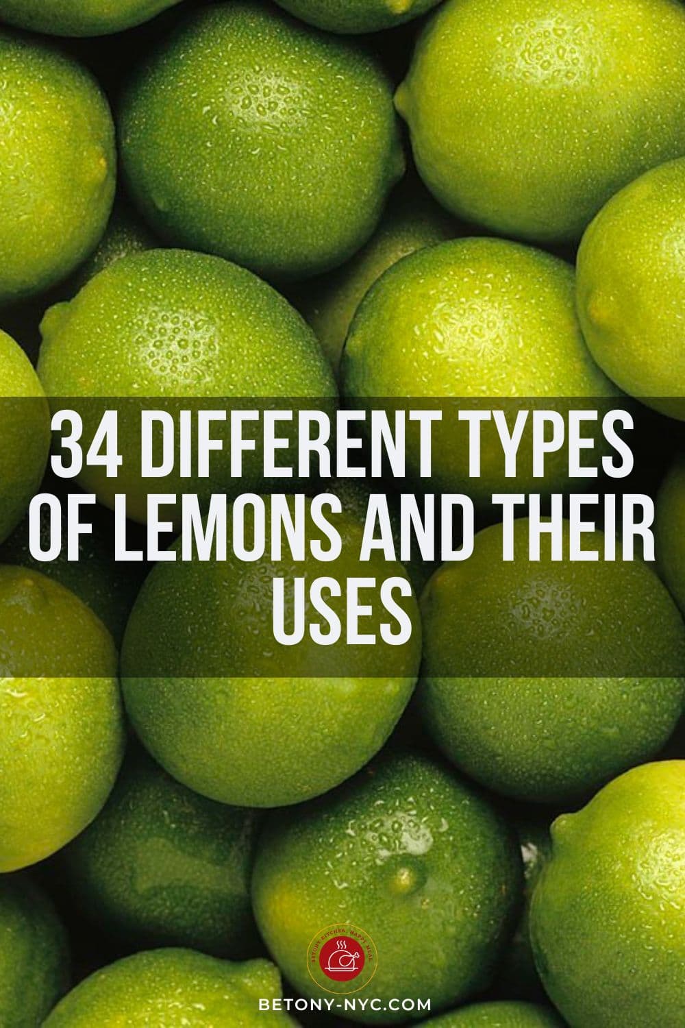 34 Different Types of Lemons and Their Uses (With Pictures)