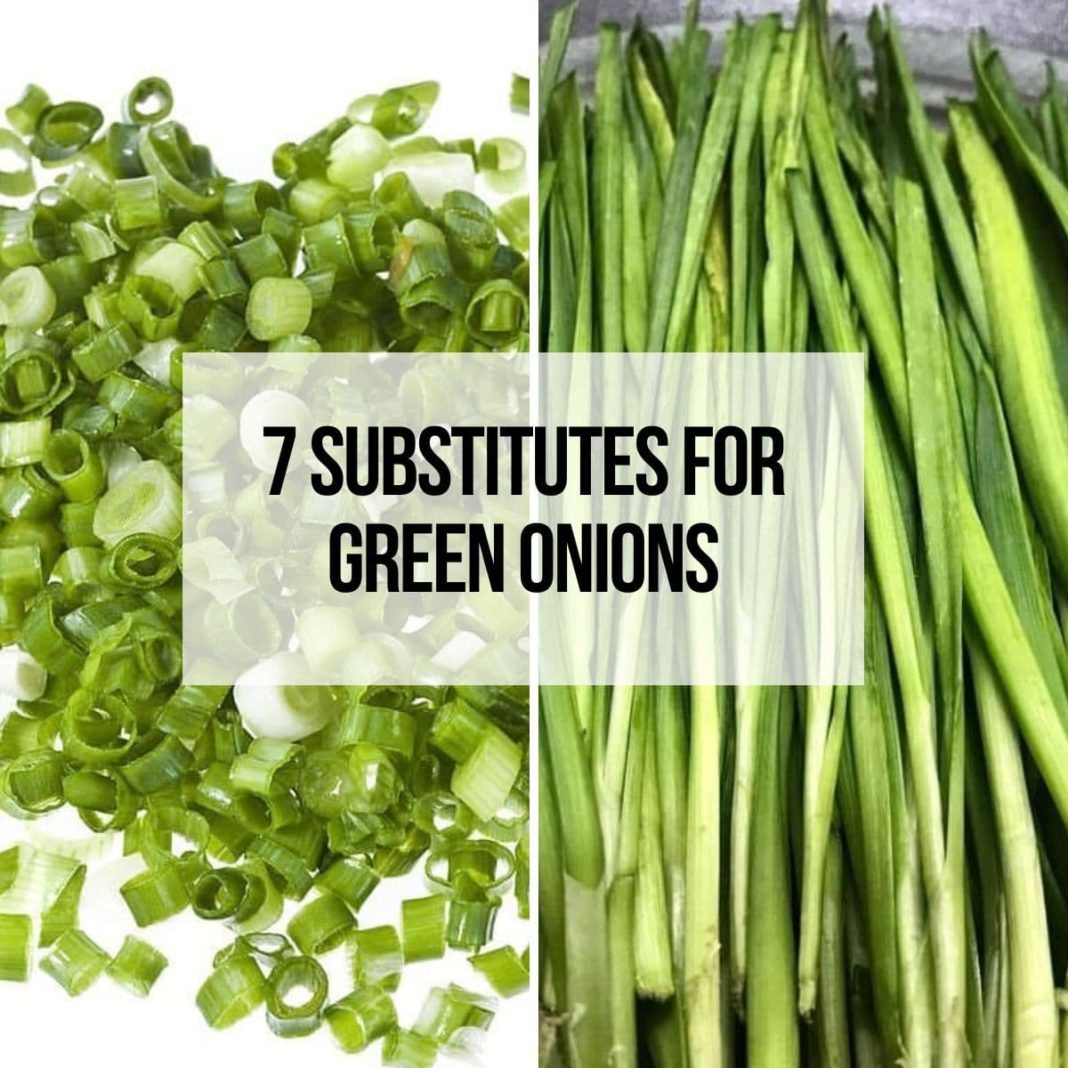 17 Best Substitutes for Green Onions - Betony