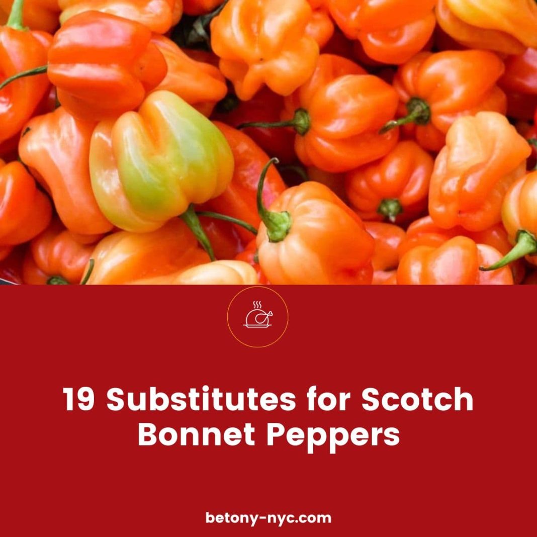 19 Substitutes for Scotch Bonnet Peppers - Betony