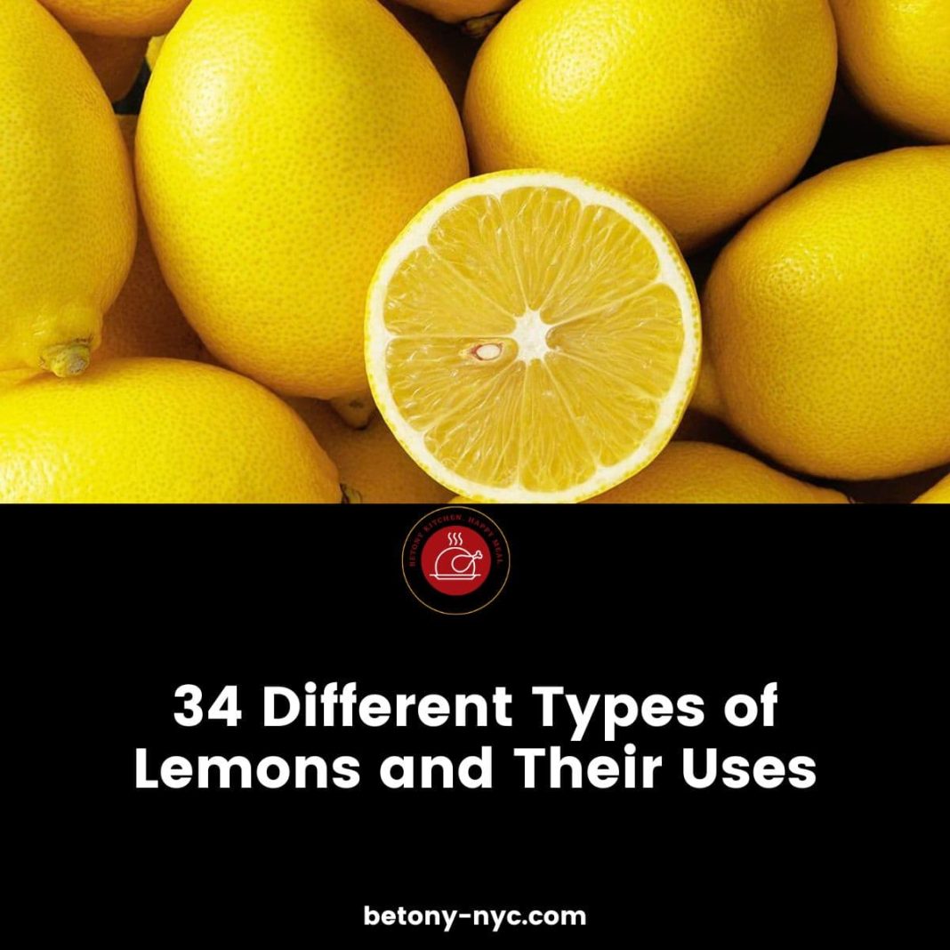 34 Different Types of Lemons and Their Uses (With Pictures)