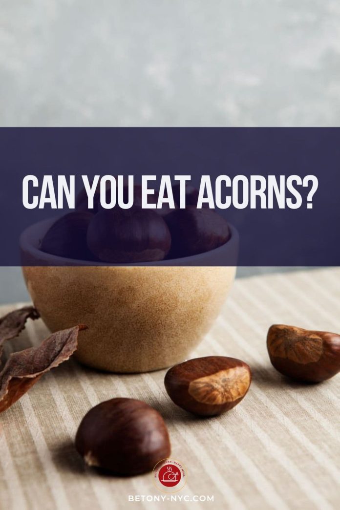Can You Eat Acorns? The Truth About This Nutty Delicacy - Betony