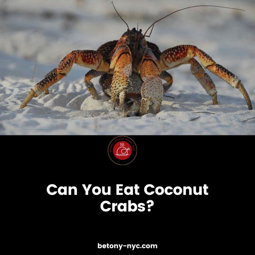 Can You Eat Coconut Crabs? What Do They Taste Like? - Betony