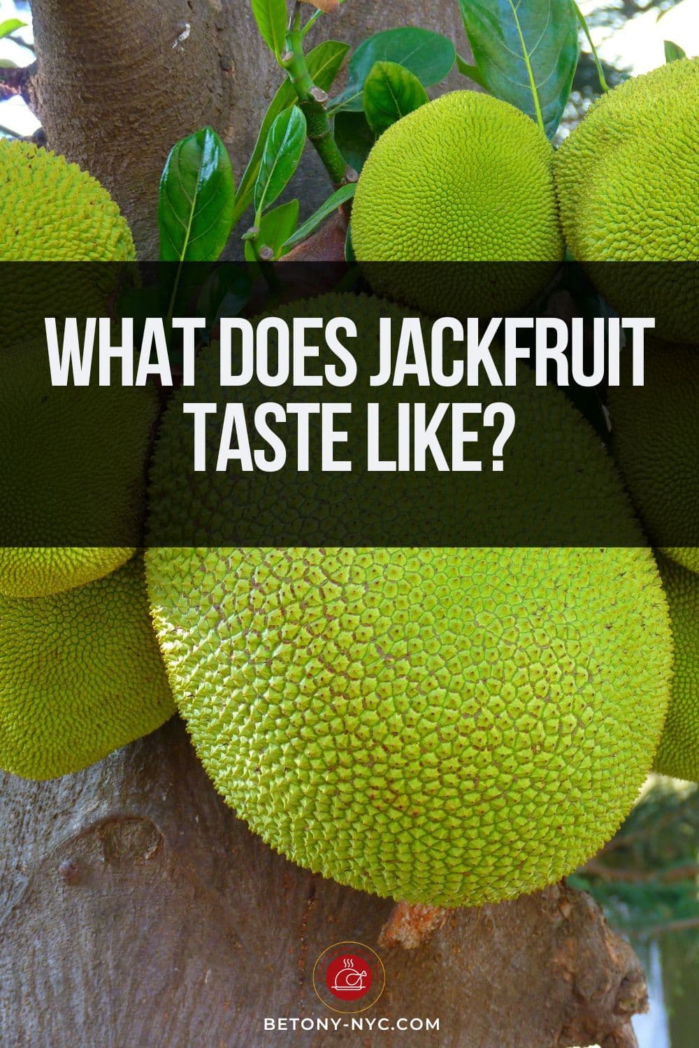 What Does Jackfruit Taste Like? - Betony