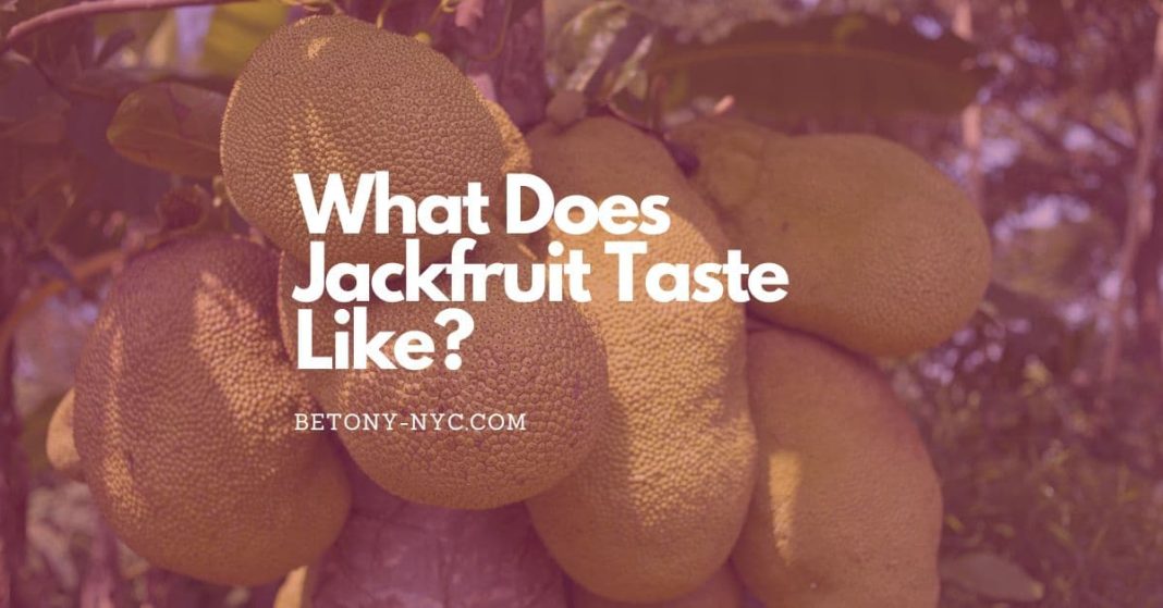 What Does Jackfruit Taste Like? - Betony