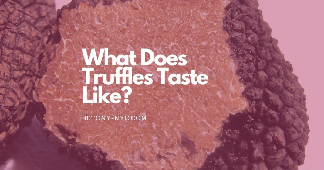 What Do Truffles Taste Like? A Guide to the Tastebuds of Luxury