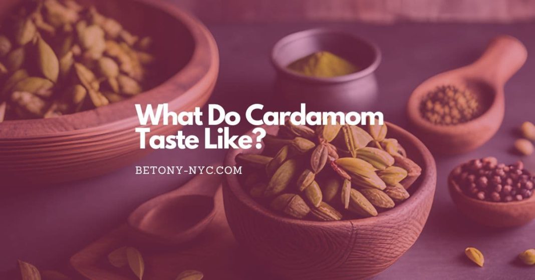 What Does Cardamom Taste Like? - Betony