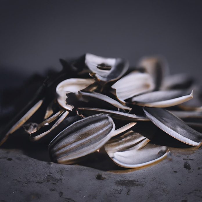 Can You Eat a Sunflower Seed Shell? - Betony